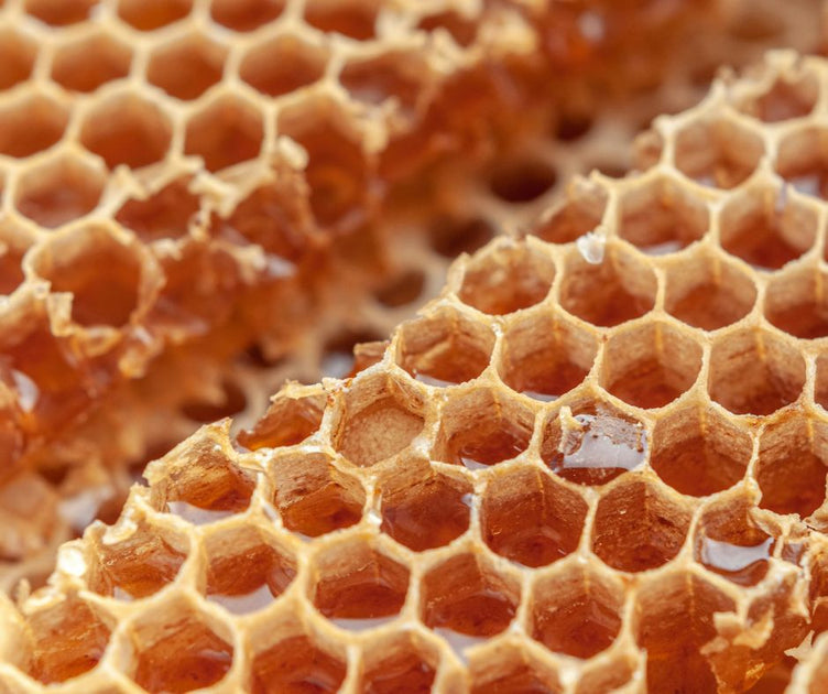 Hive Mats for Beekeeping – Wood, Rim & Hardboard | Beequip