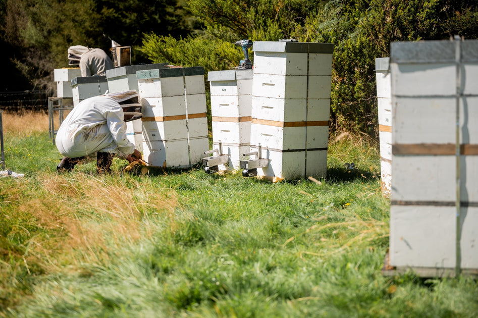 Beekeeping Package Deals in NZ Online for Sale | Beequip NZ