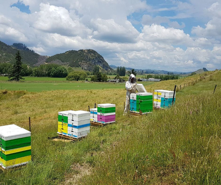 Beehive Packages Collection | Beequip New Zealand