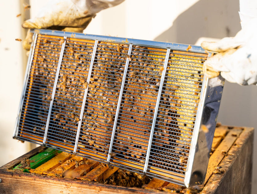 Beekeeping Tools & Equipment – Vaporizers, Smokers & More | Beequip