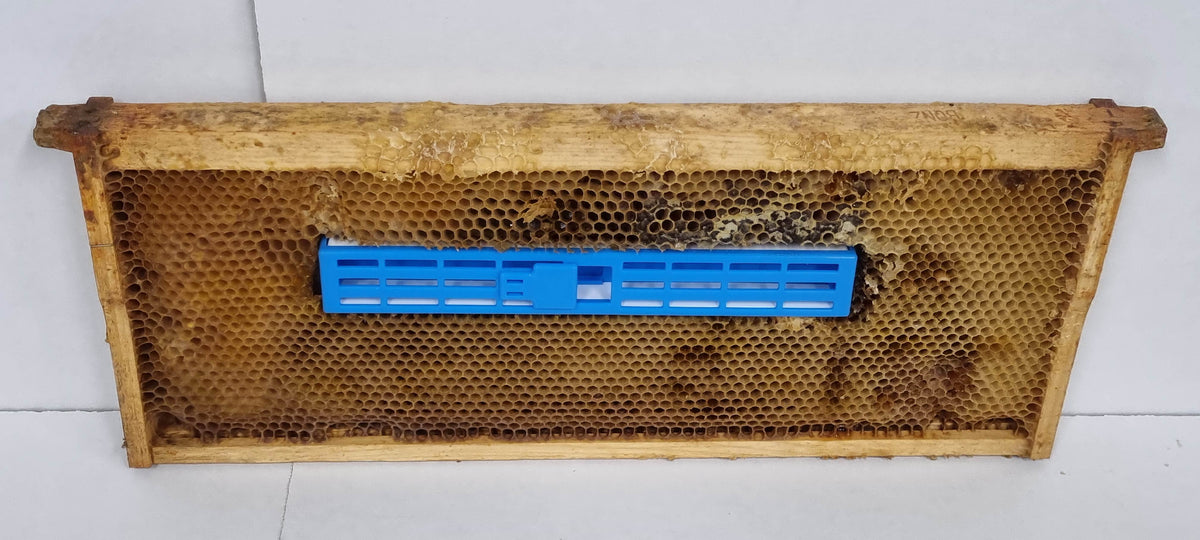 Queen Isolation Cage 240 | Effective Brood Break & Hive Management