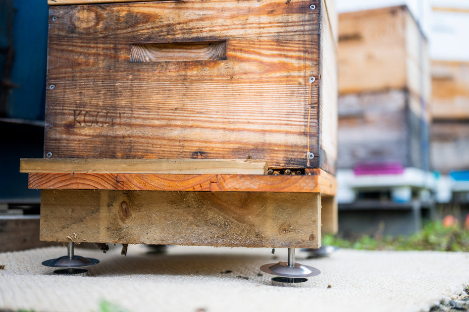 Keep Ants Away from Your Beehive - Anti-Ant Feet - A Natural Solution