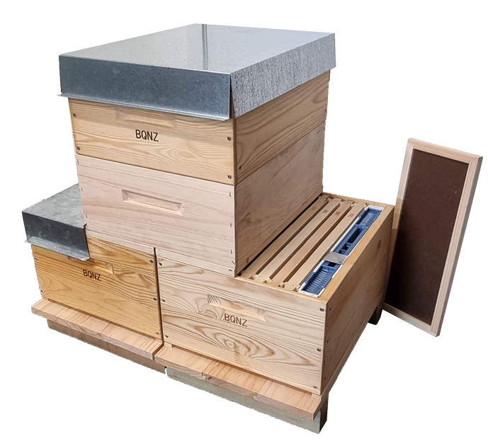2-in-1 Beehive Package | Maximize Honey Production from Small Colonies